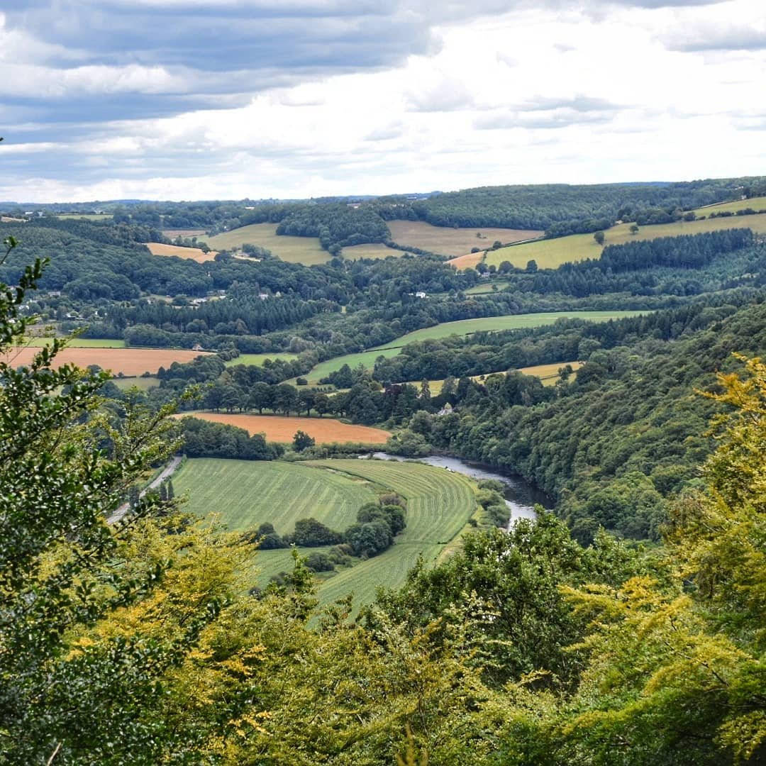 Get closer to nature at Whitestone's new natural playground - Visit ...