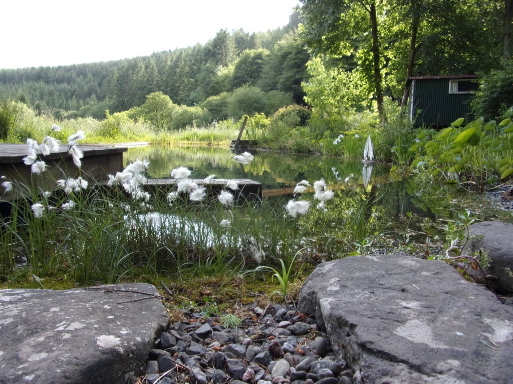 Nant-y-bedd, the RHS Partner Garden of the Year - Visit Monmouthshire