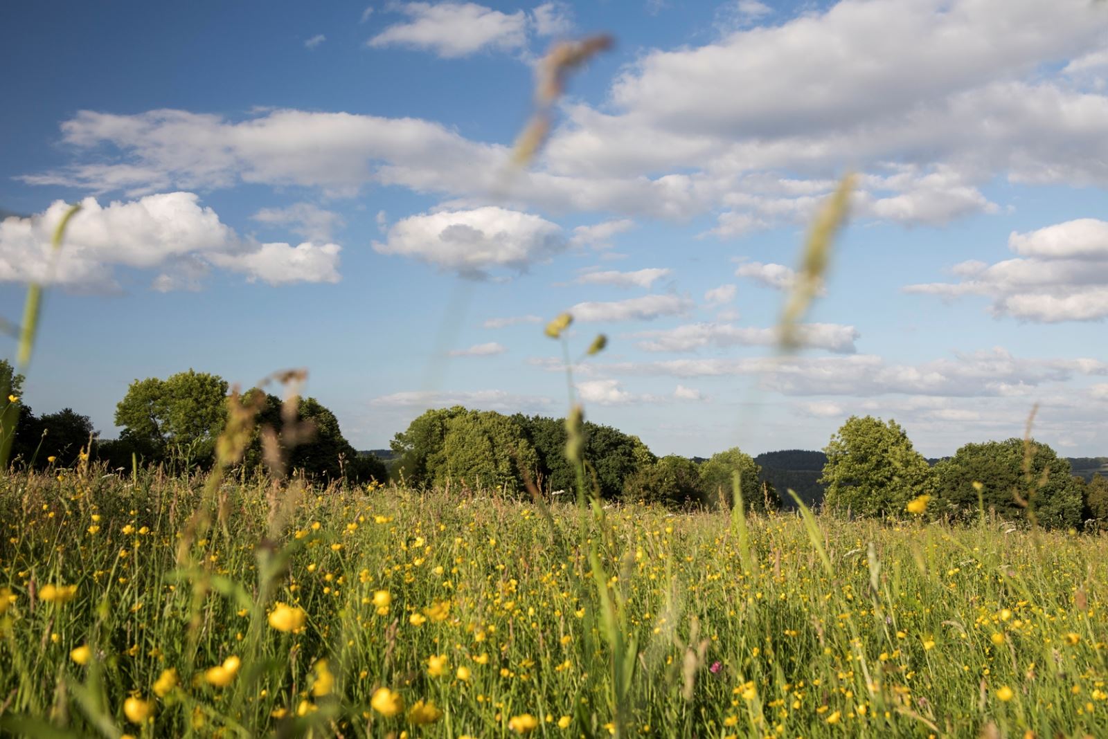 Hidden gems of Monmouthshire - Visit Monmouthshire
